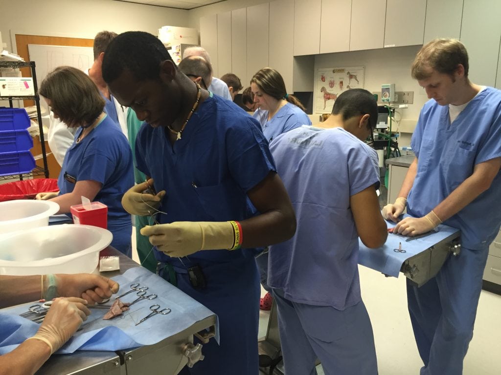 An Innovative Interdisciplinary Approach to Establishing a Surgical ...