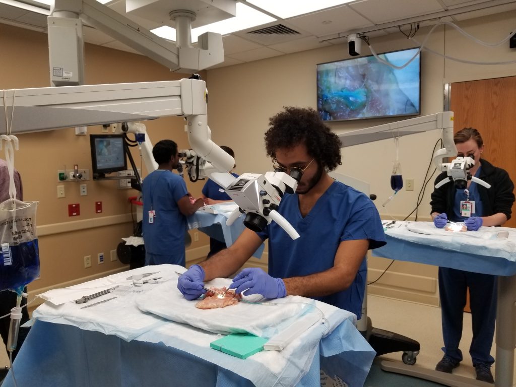 Blue "blood" gives residents innovative microsurgery training ...