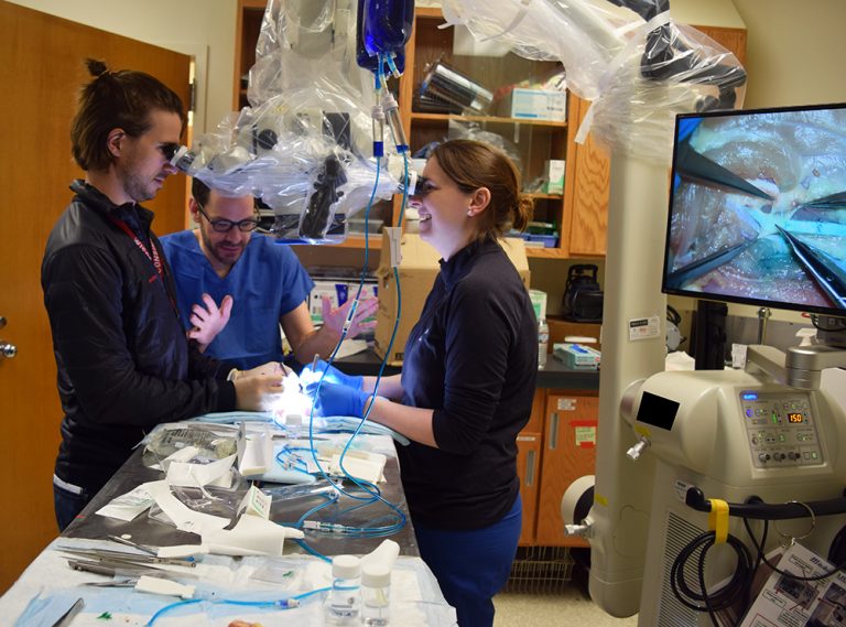 Blue "blood" gives residents innovative microsurgery training ...