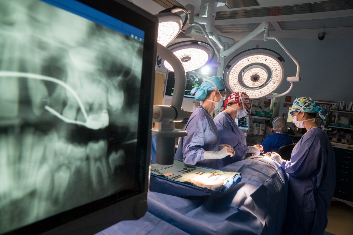 2018 in Photos - Department of Surgery