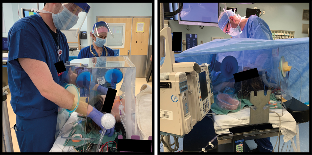 The Badger - Department of Surgery