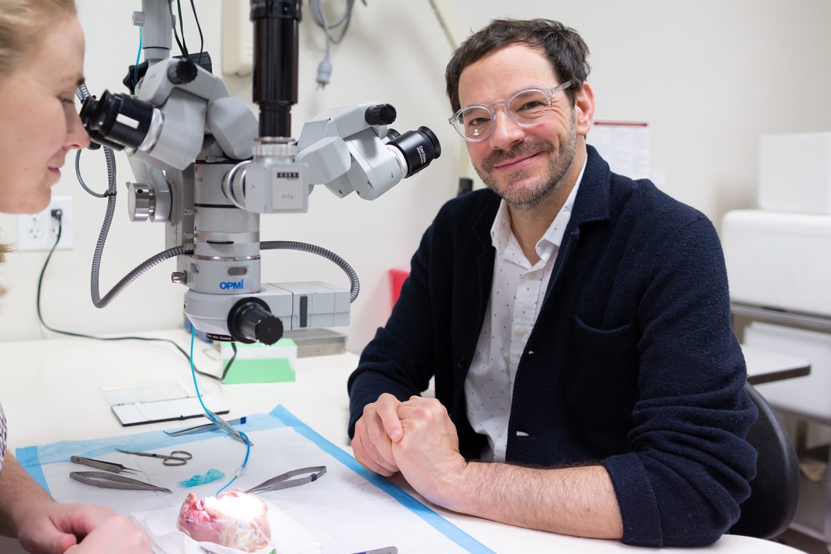 Publications - Department of Surgery